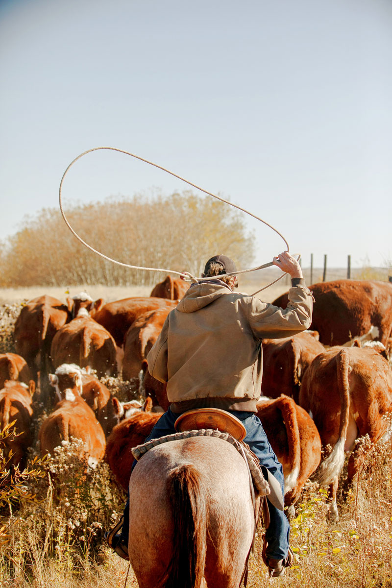 Photo Gallery – Garrett Ranch Ltd